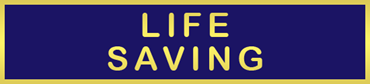 Life Saving Commendation Bar